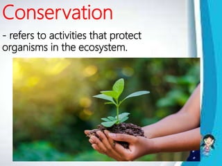 Roles of Organisms in the Ecosystem | PPTX