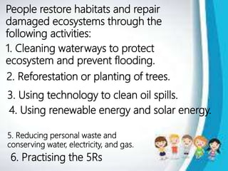 Roles of Organisms in the Ecosystem | PPTX