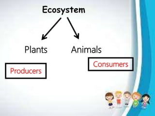 Roles of Organisms in the Ecosystem | PPTX