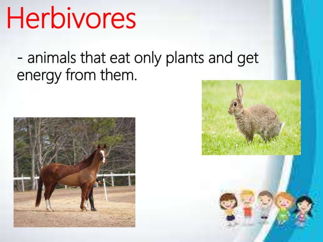 Roles of Organisms in the Ecosystem | PPTX