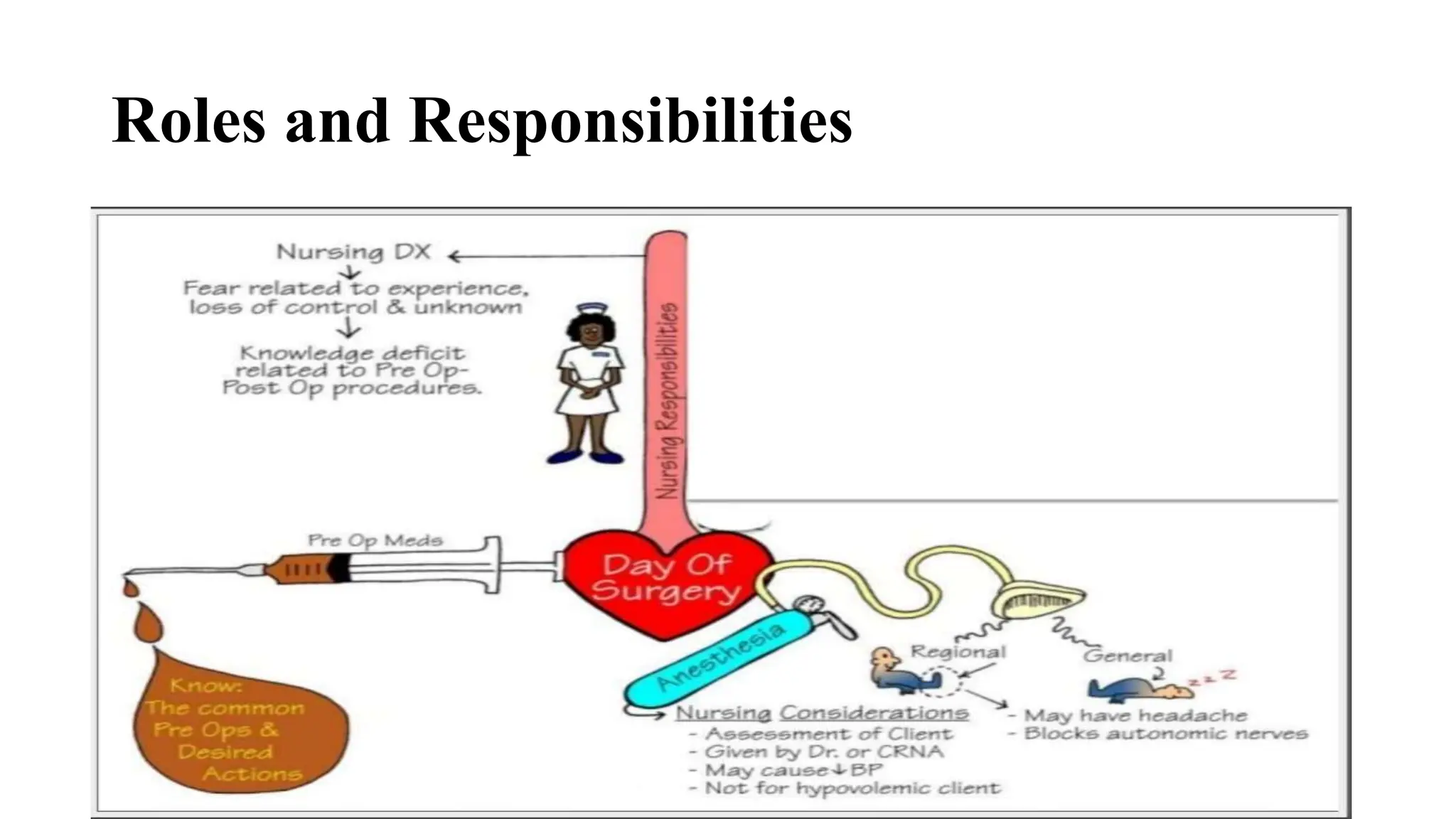 Role od scrub Nurse, anesthesia nurse and circulatory nurse | PPTX