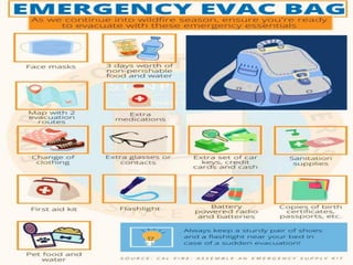 Roles of Pharmacists in Disaster Management | PDF