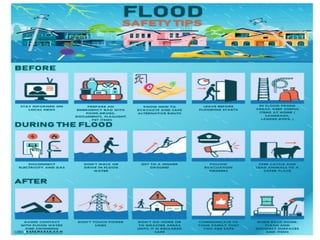 Roles of Pharmacists in Disaster Management | PDF