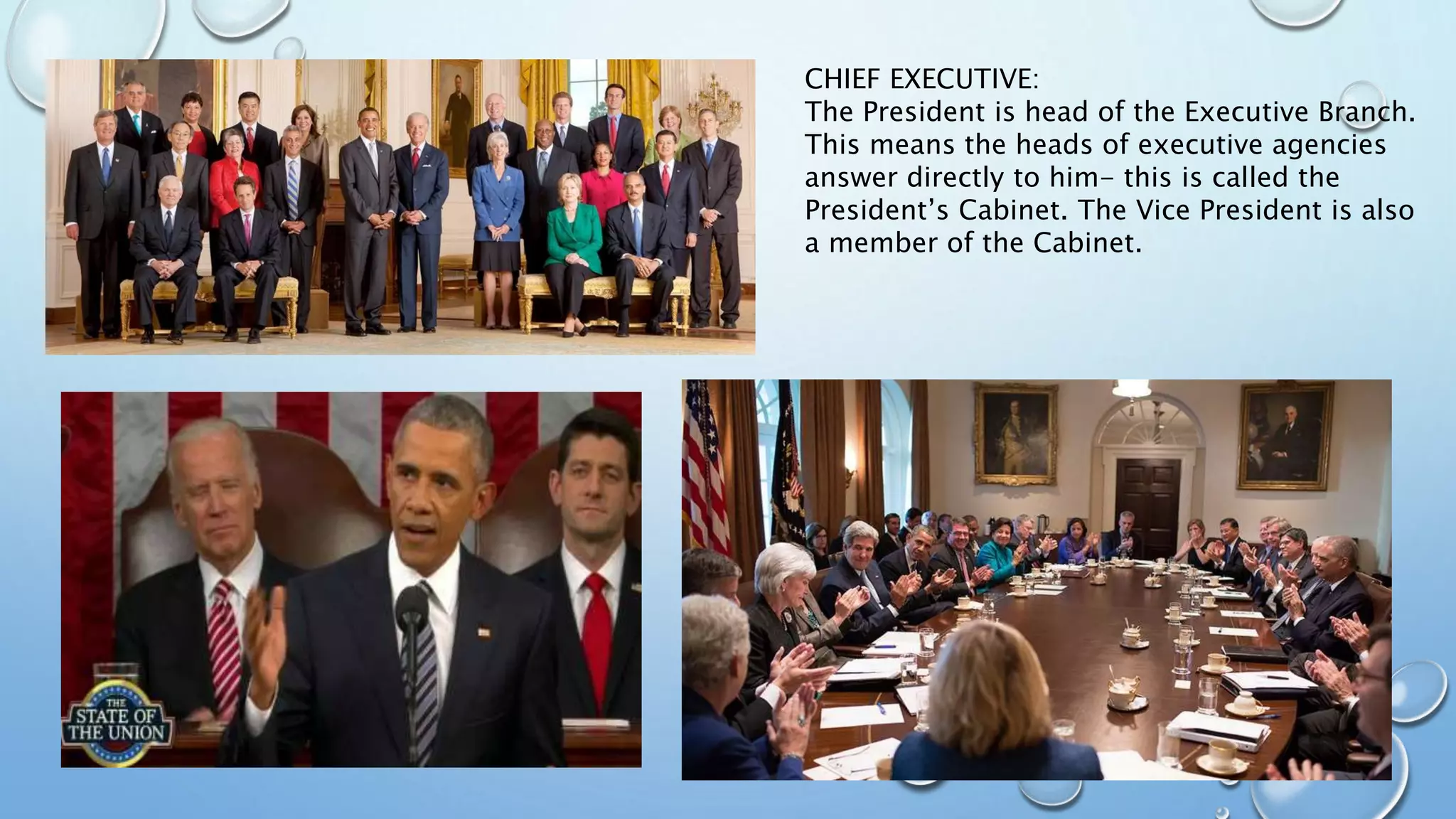 Roles of the president 2016 | PPTX