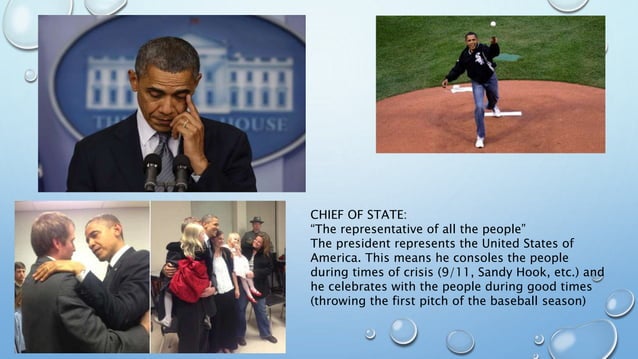 Roles of the president 2016 | PPTX