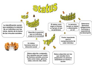 Roles, percepción, conflicto y status en las organizaciones | PPT