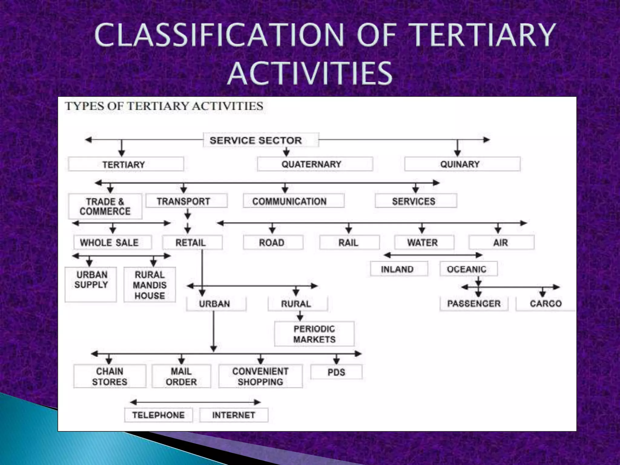 Role of Tertiary Economic Activities | PPT