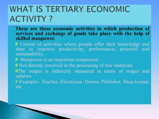 Role of Tertiary Economic Activities | PPTX