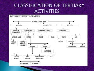 Role of Tertiary Economic Activities | PPTX
