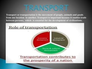 Role of Tertiary Economic Activities | PPTX