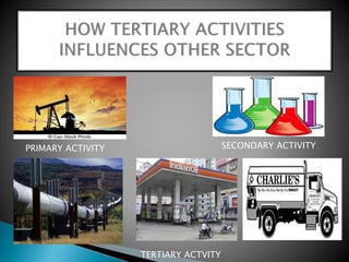 Role of Tertiary Economic Activities | PPT