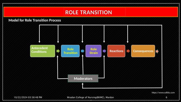 Role Transition and Reality shock in nursing.pptx