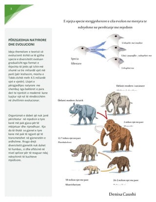 Roli i perzgjedhies natyrore ne eolucionin e llojeve | PDF