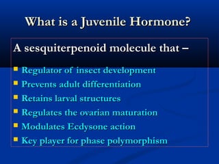 Synthesis and Actions of Juvenile Hormones In Insect Development (MS ...