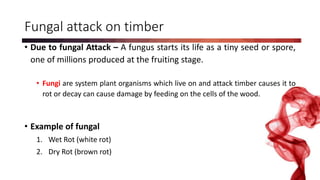 fungal attack on timber | PPTX