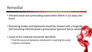 fungal attack on timber | PPTX