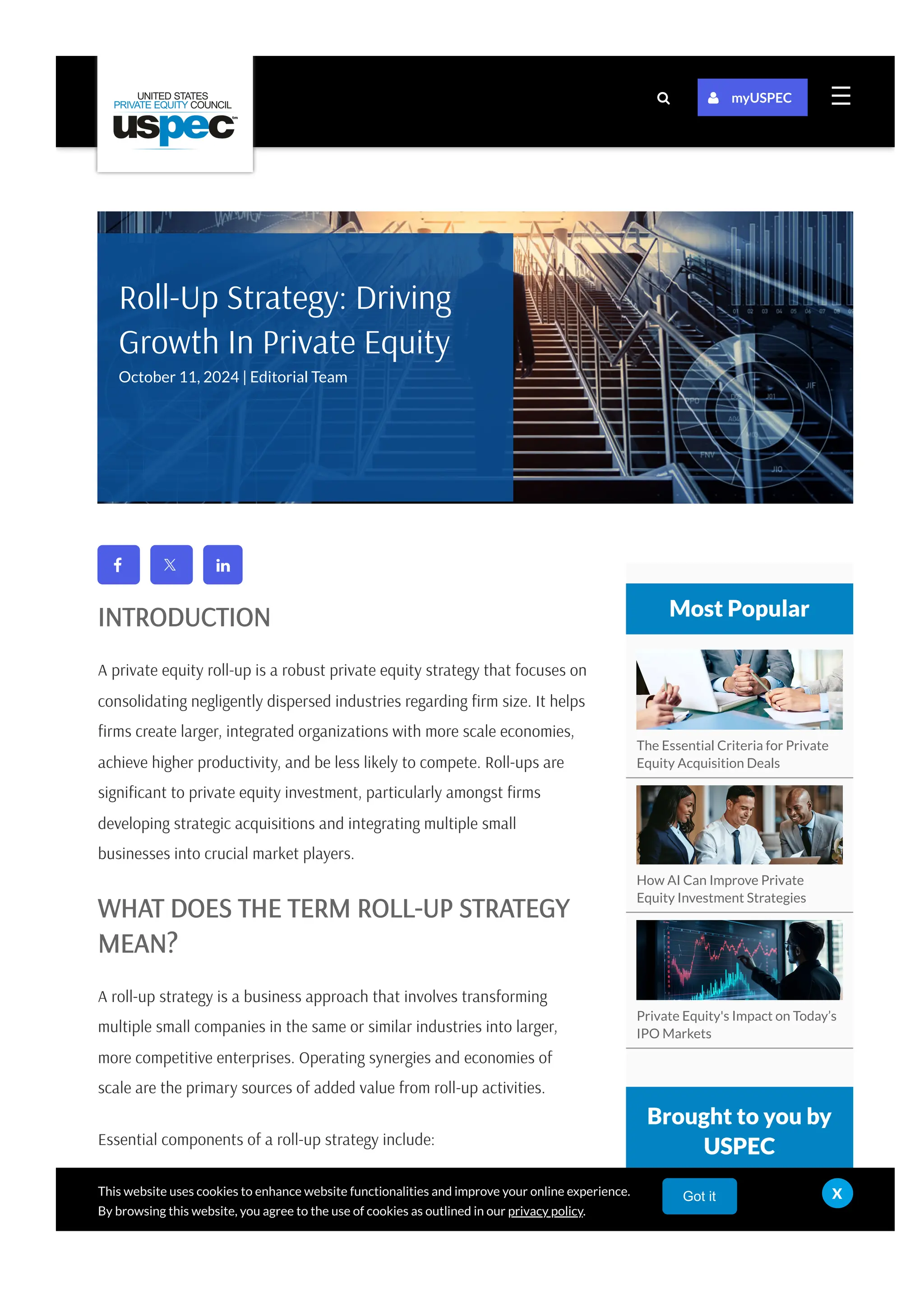 Roll-up Strategy Driving Growth in Private Equity.pdf