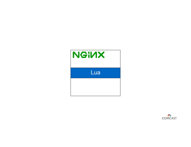 Roll Your Own API Management Platform with nginx and Lua | PPT