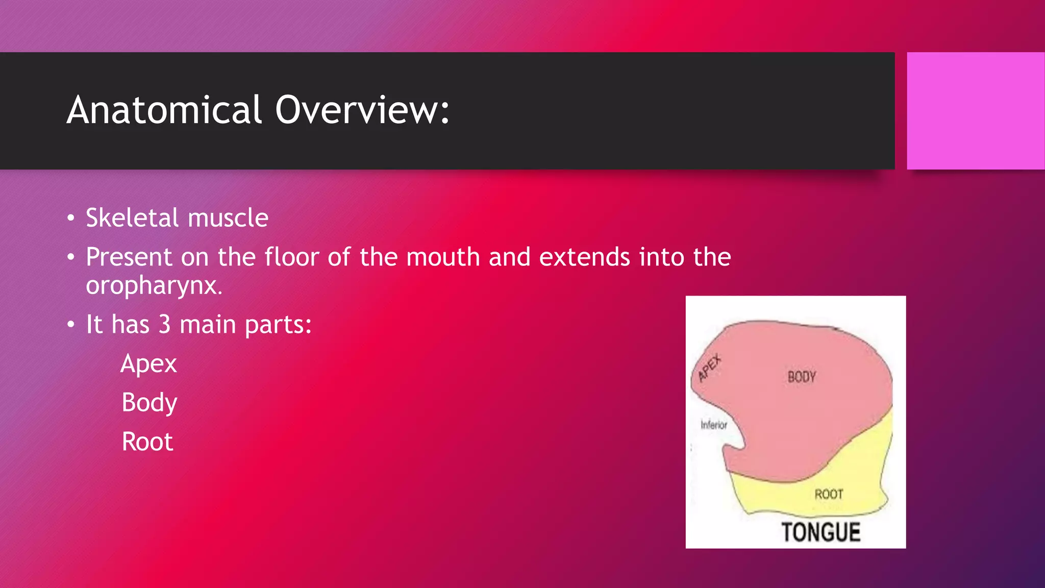Tongue, papillae and some special structures. | PPTX
