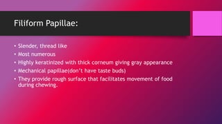 Tongue, papillae and some special structures. | PPTX