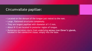 Tongue, papillae and some special structures. | PPTX