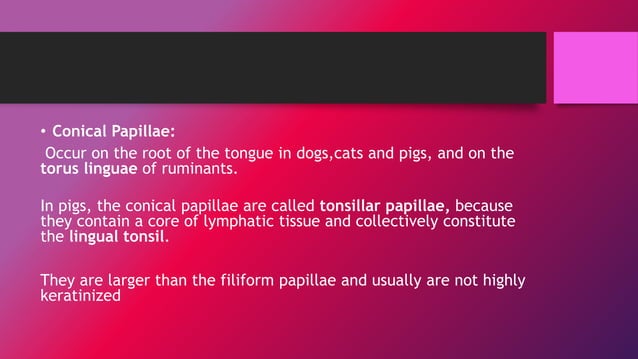 Tongue, papillae and some special structures. | PPTX | Ear, Nose and ...