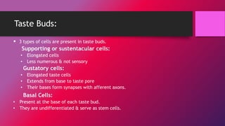 Tongue, papillae and some special structures. | PPTX