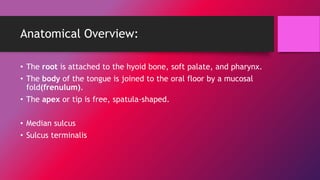 Tongue, papillae and some special structures. | PPTX