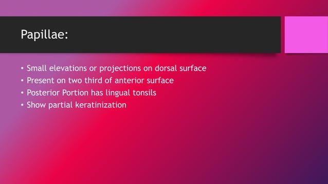 Tongue, papillae and some special structures. | PPTX | Ear, Nose and ...
