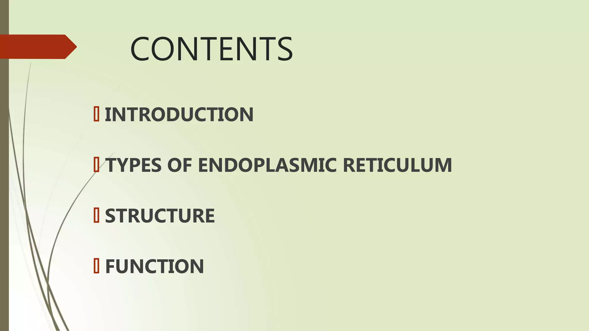 Roll#1033(Ali Rizwan) Endoplasmic Reticulum.pptx