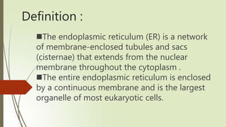 Roll#1033(Ali Rizwan) Endoplasmic Reticulum.pptx