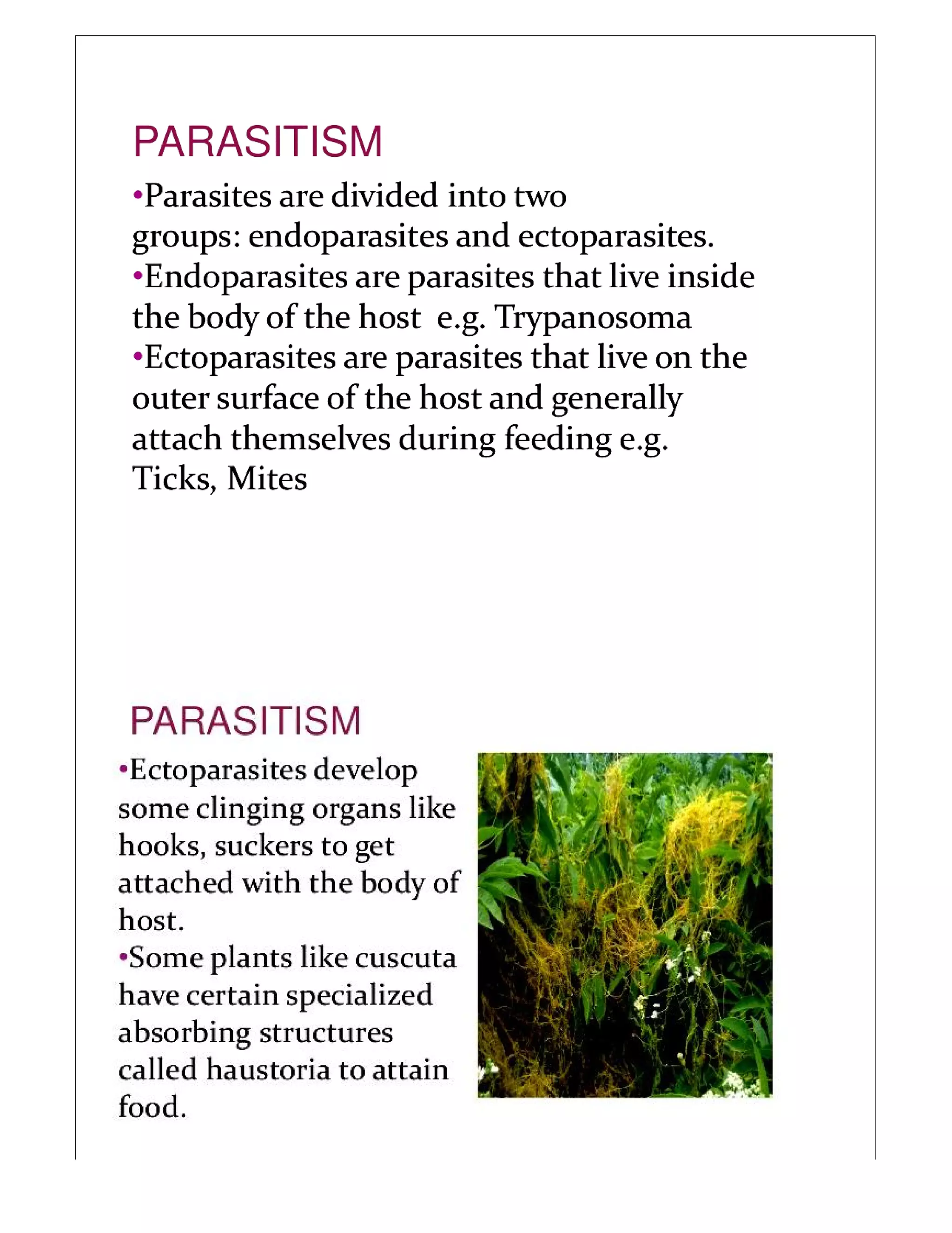 CBSE Biology investigatory project class 12 on population interaction | PDF