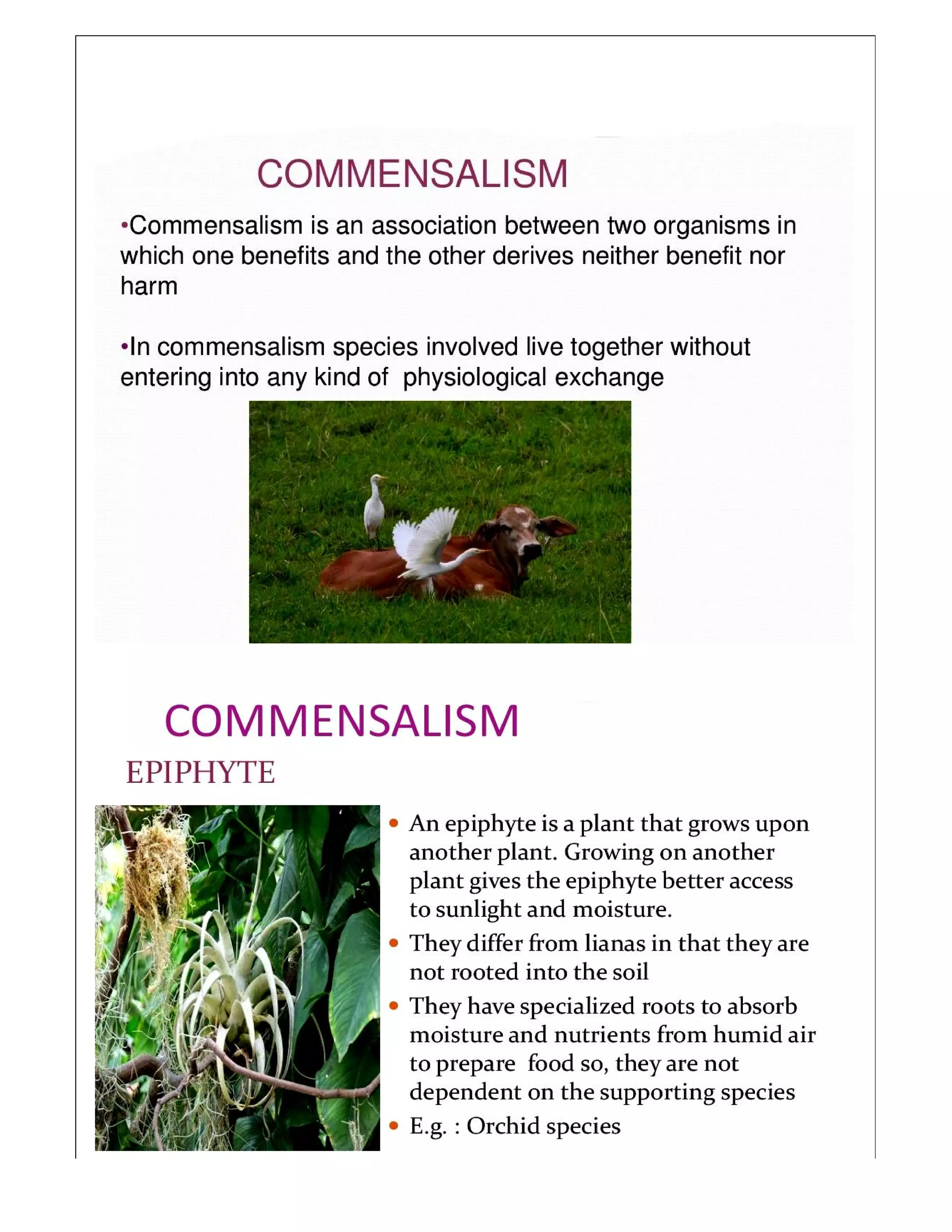 CBSE Biology investigatory project class 12 on population interaction | PDF