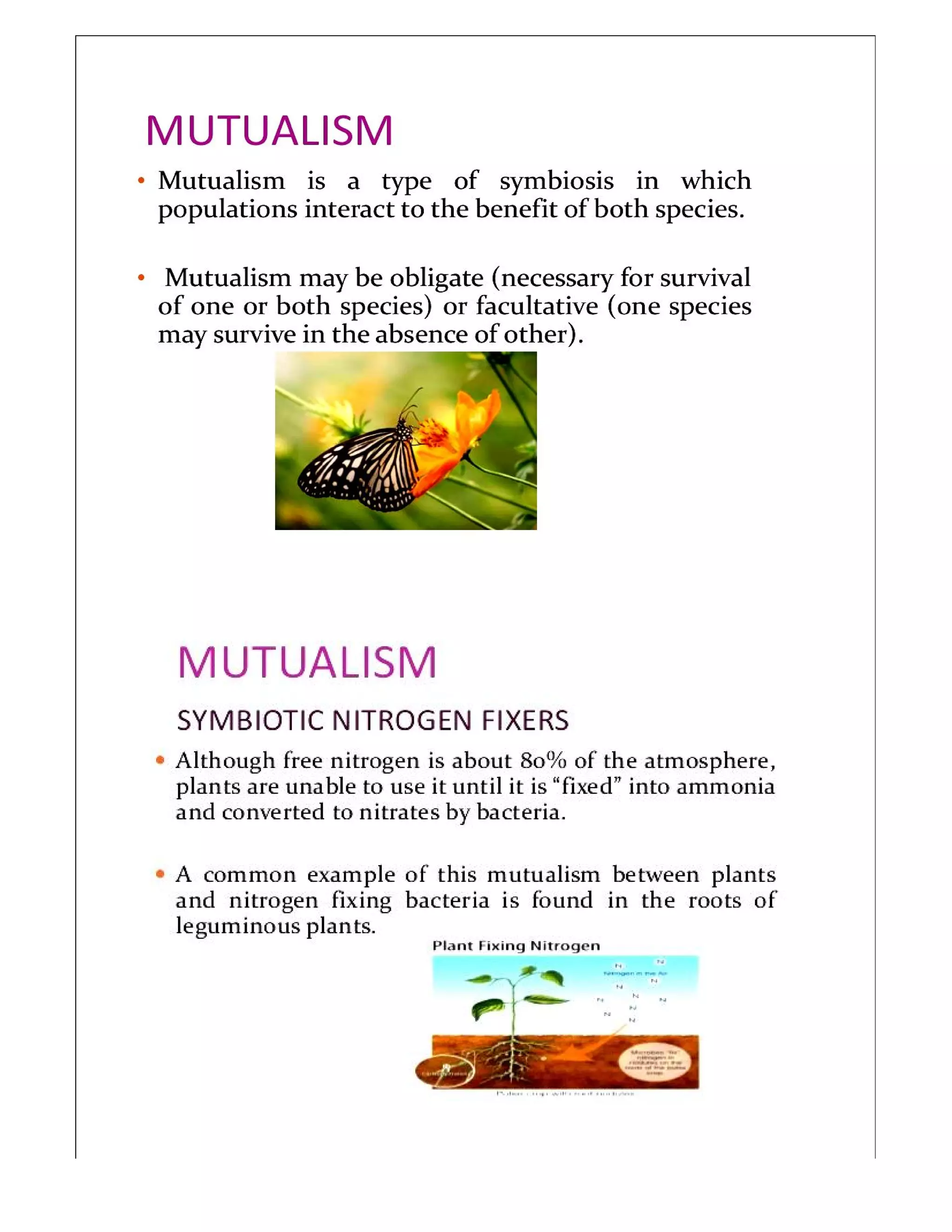 CBSE Biology investigatory project class 12 on population interaction | PDF