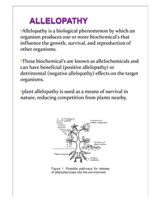 CBSE Biology investigatory project class 12 on population interaction | PDF