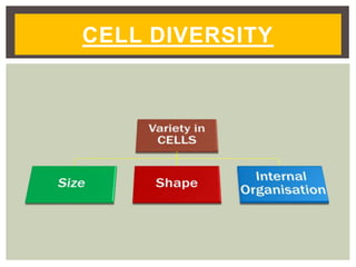 Cell structure and function | PPTX