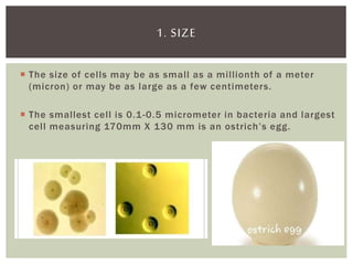 Cell structure and function | PPTX