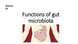 functions of gut flora | PPT