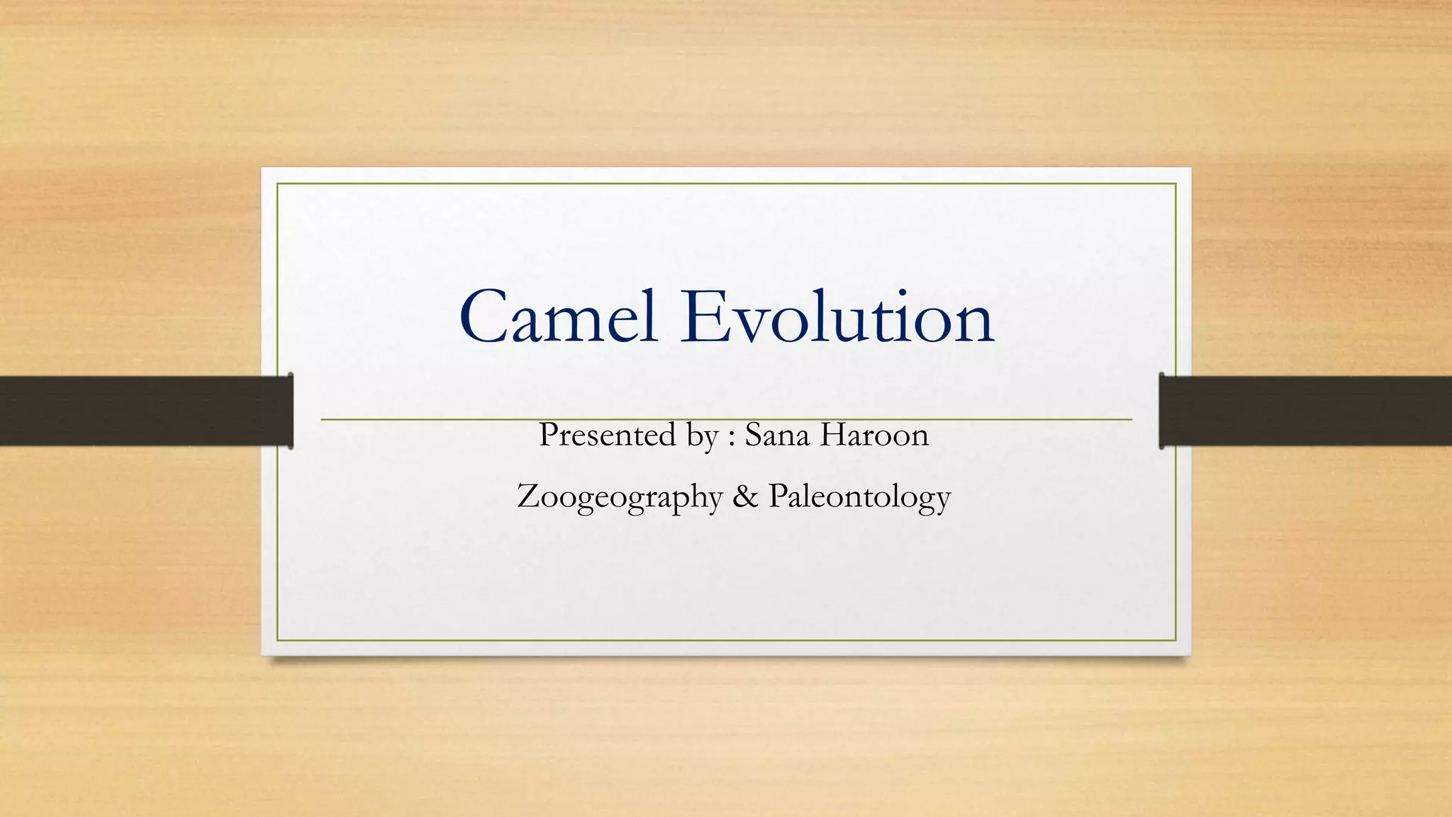 Camel Evolution by @Sana_Haroon | PPTX