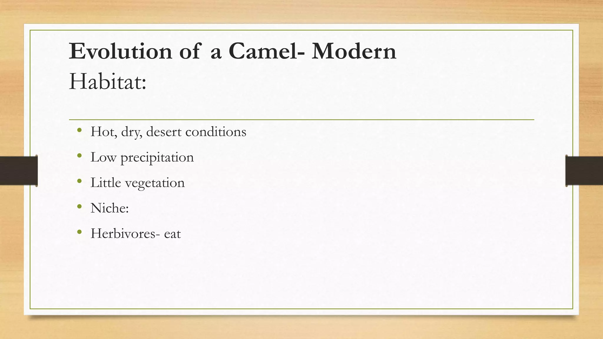 Camel Evolution by @Sana_Haroon | PPTX