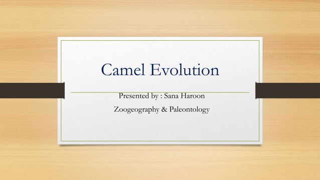 Camel Evolution by @Sana_Haroon | PPTX