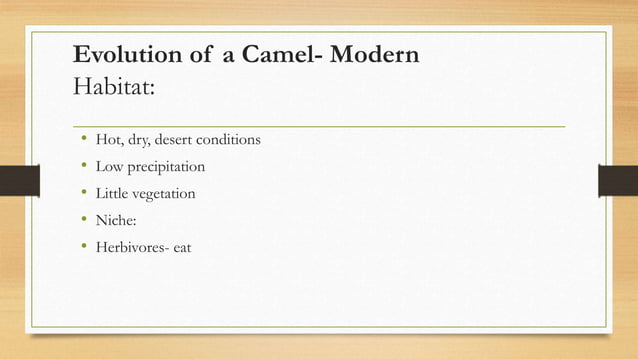 Camel Evolution by @Sana_Haroon | PPTX
