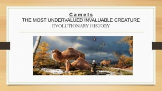 Camel Evolution by @Sana_Haroon | PPTX