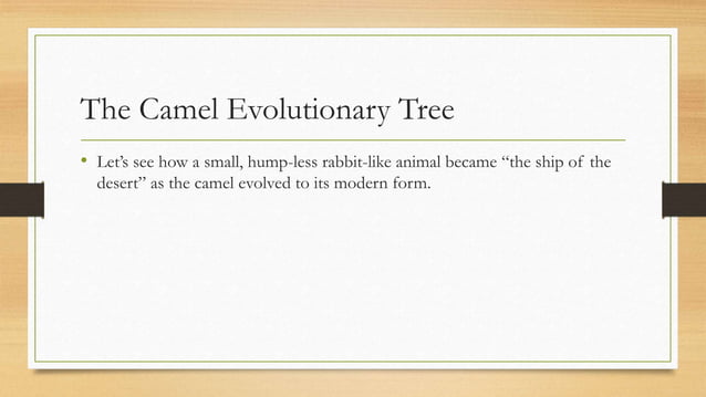 Camel Evolution by @Sana_Haroon | PPTX