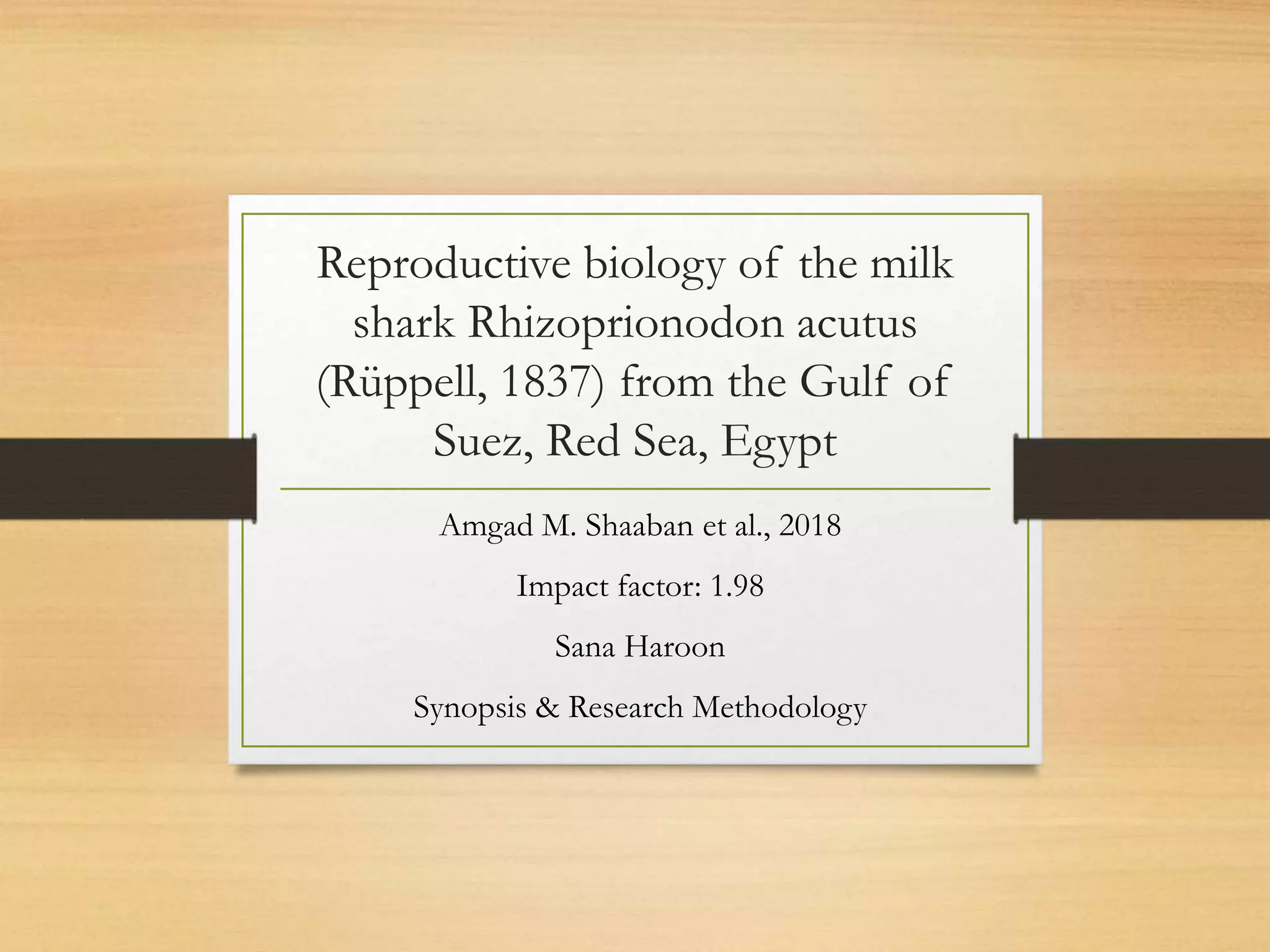 Reproductive biology of the milk shark Rhizoprionodon acutus (Rüppell ...