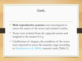 Reproductive biology of the milk shark Rhizoprionodon acutus (Rüppell ...