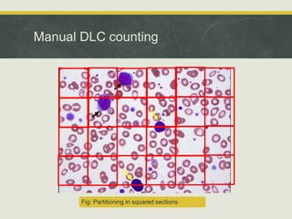 Differential Leukocyte Counts | PPTX