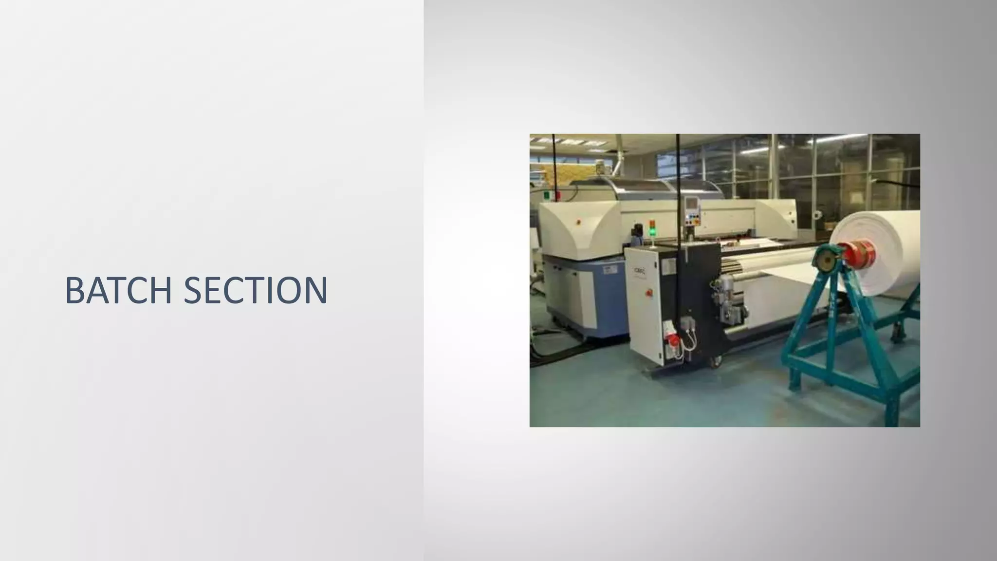 Presentation on Batch Section | PPTX