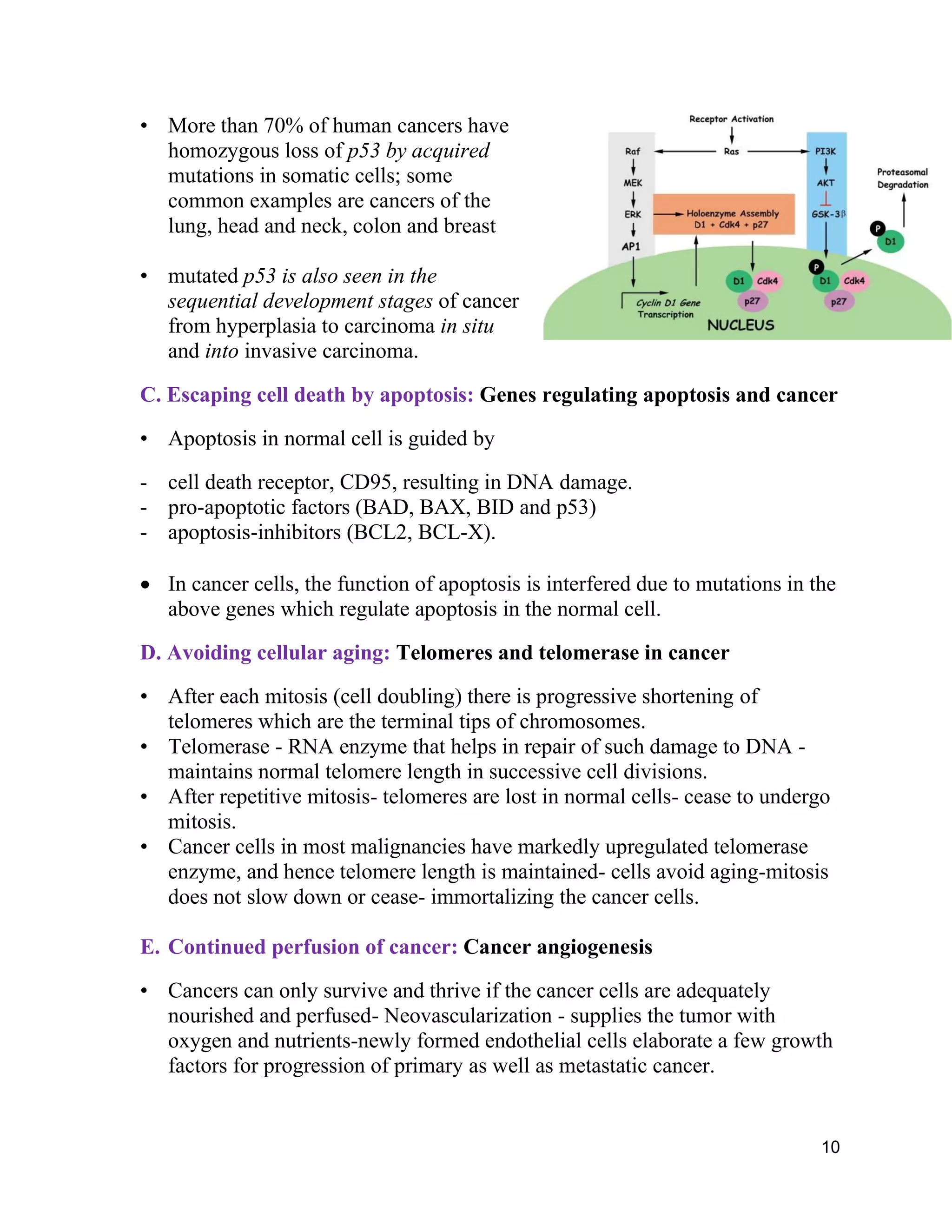 Carcinogenesis & Mechanism of DNA repair | PDF