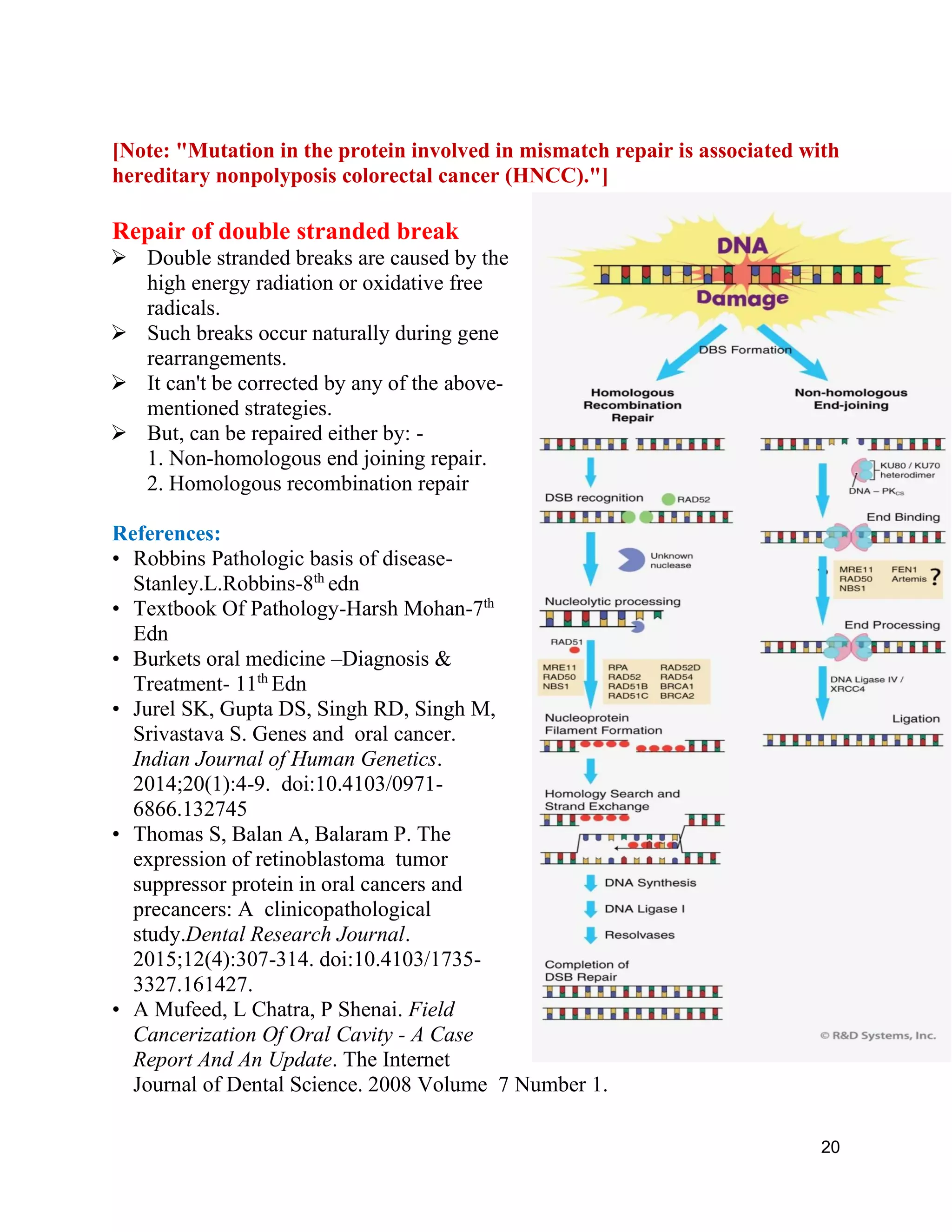 Carcinogenesis & Mechanism of DNA repair | PDF
